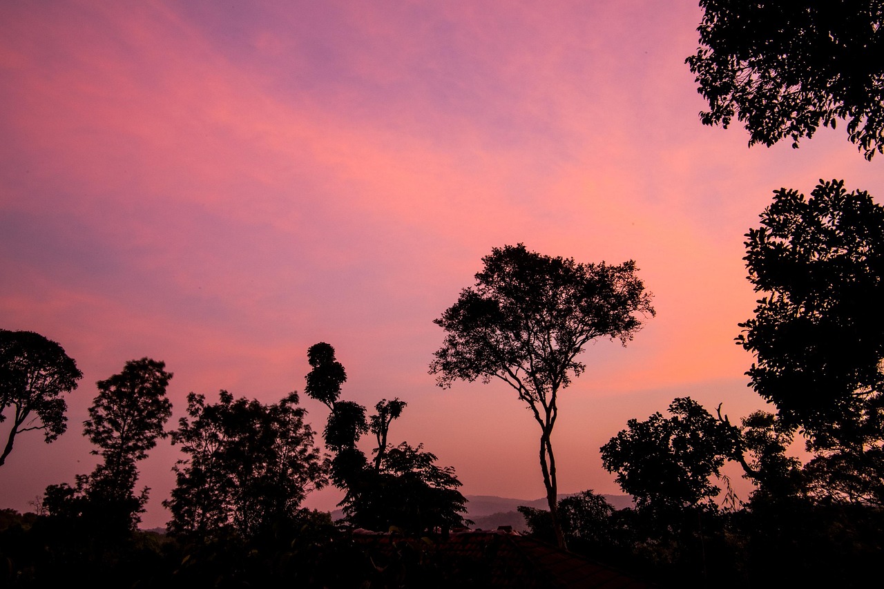 Best Time to Visit Coorg: Month-by-Month Weather Guide & Travel Tips ...